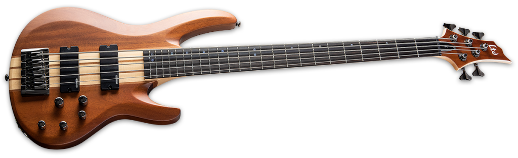 ESP LTD B5E MNS 5 String Electric Bass Guitar - Sweet Muzic Pro Audio