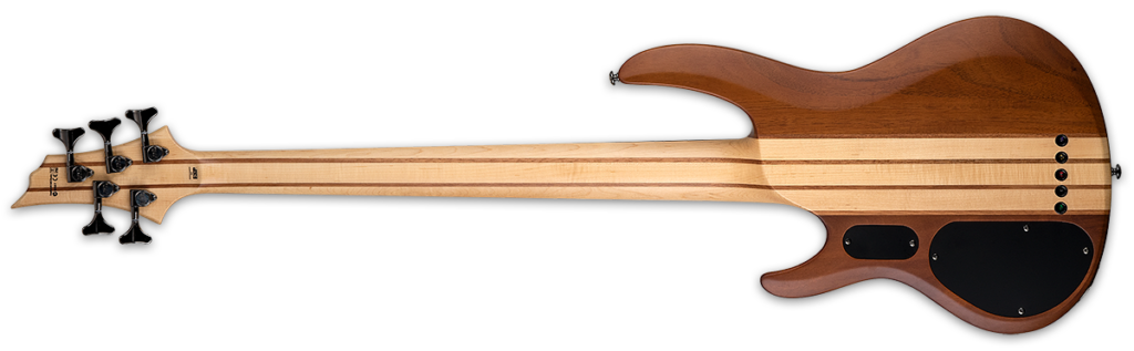 ESP LTD B5E MNS 5 String Electric Bass Guitar - Sweet Muzic Pro Audio